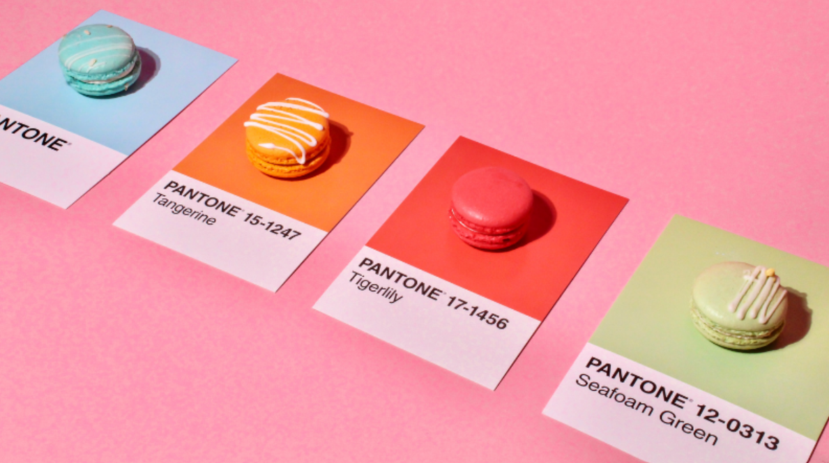 Discover Pantone: The Language of Color in Modern Design